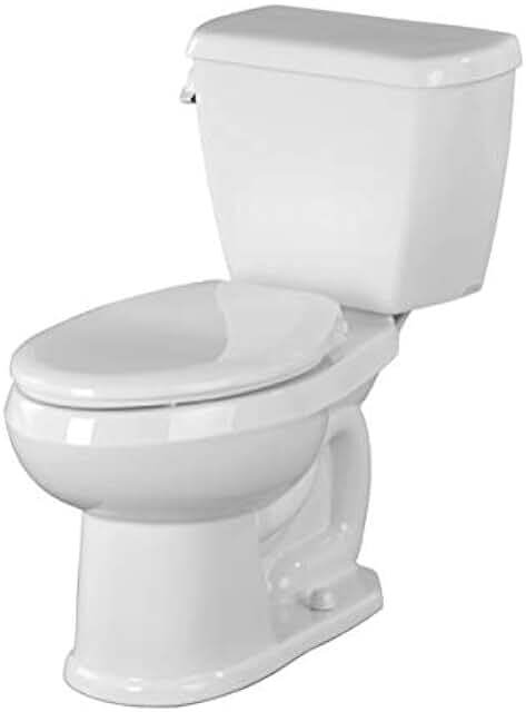 The 10 Best Dual Flush Toilet Reviews and Complete Guide 2022 - Toilet ...