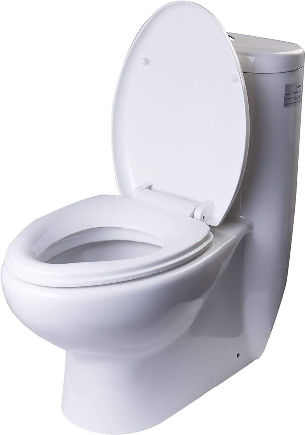 Top 4 EAGO Toilet Reviews – Complete Buyer’s Guide [2022] - Toilet Lounge