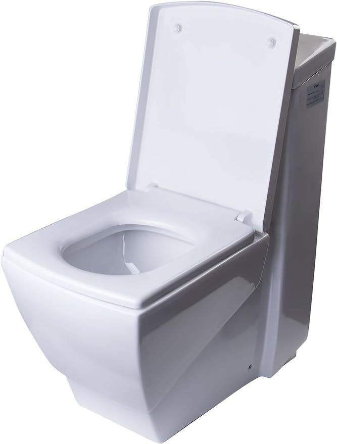 Top 4 EAGO Toilet Reviews – Complete Buyer’s Guide [2022] - Toilet Lounge