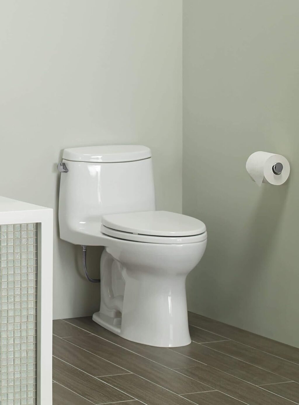 The Best Flushing Toilet Reviews And Complete Buying Guide - Toilet Lounge