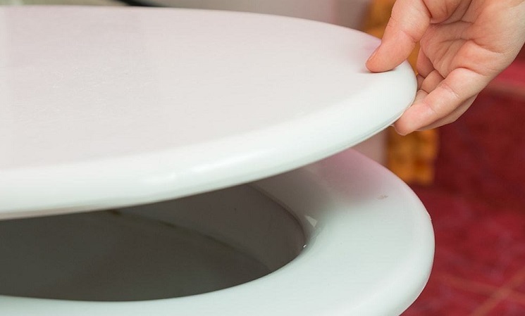 Best Padded Toilet Seats in 2021 – Top Models Reviewed - Toilet Lounge